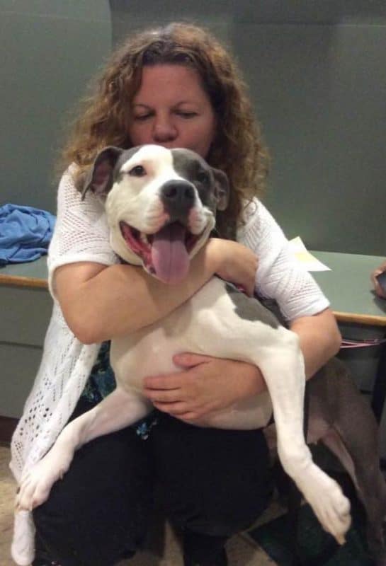 MOSTLY MUTTS - RESCUE DOGS RULE